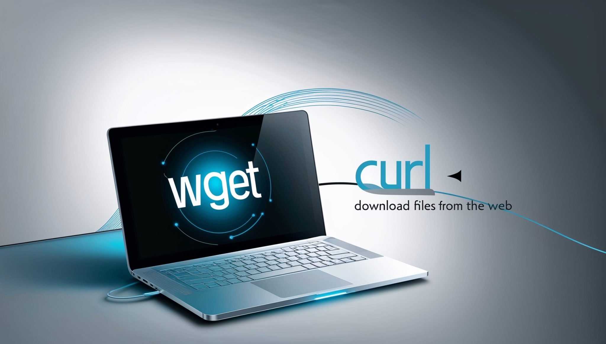Download Files from the Web: wget and curl Explained - FelixRante
